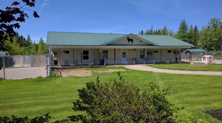 Visit Our Dog Boarding Facility - 4 Paws Pet Resort in Moncton NB